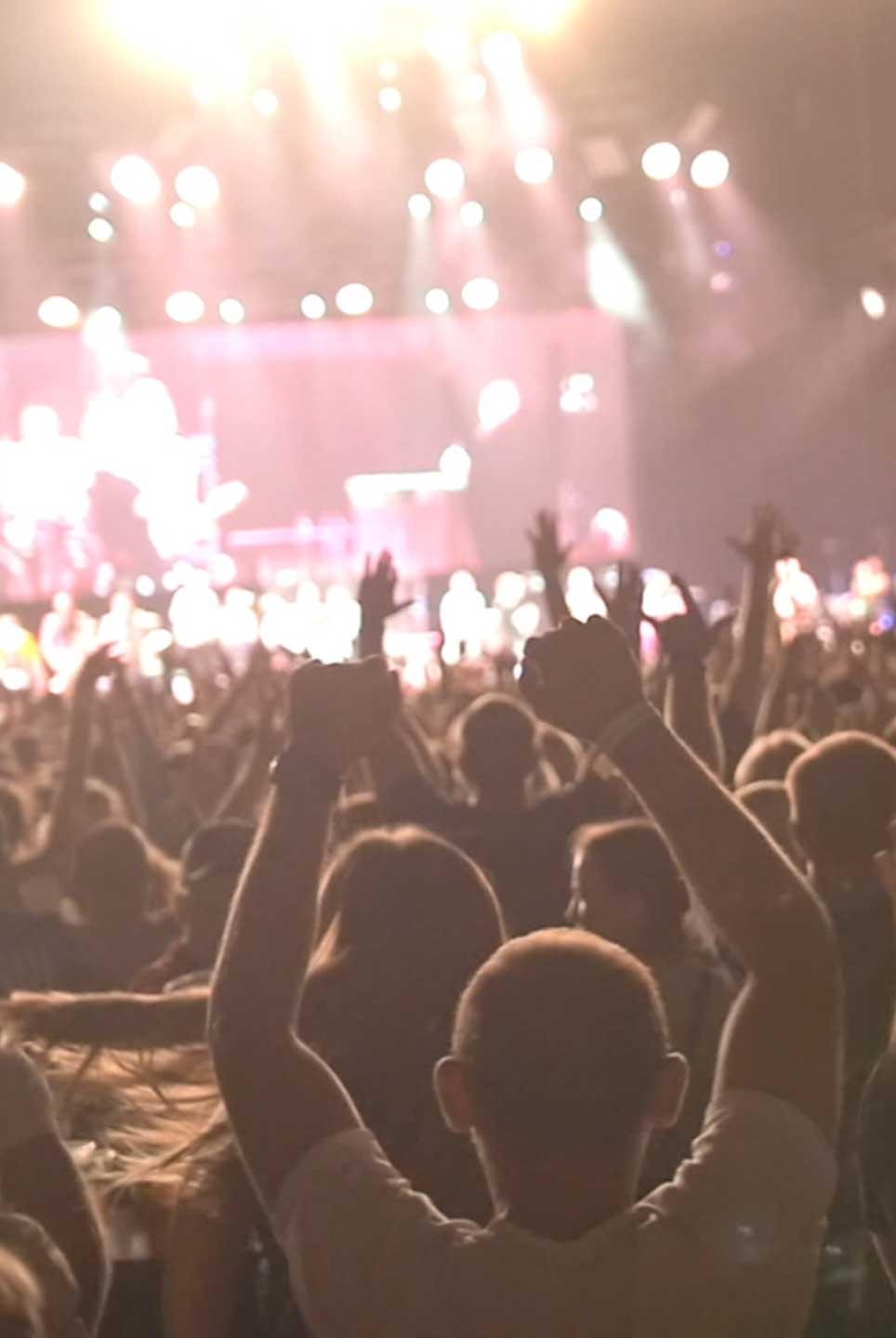 How to use - McSmart Truffles