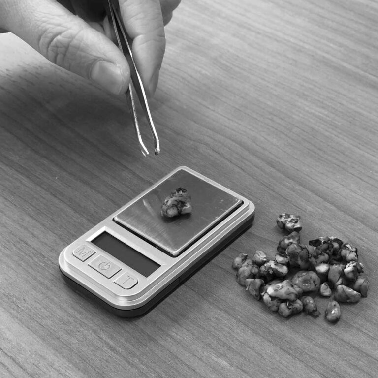 Microdosing - McSmart Truffles